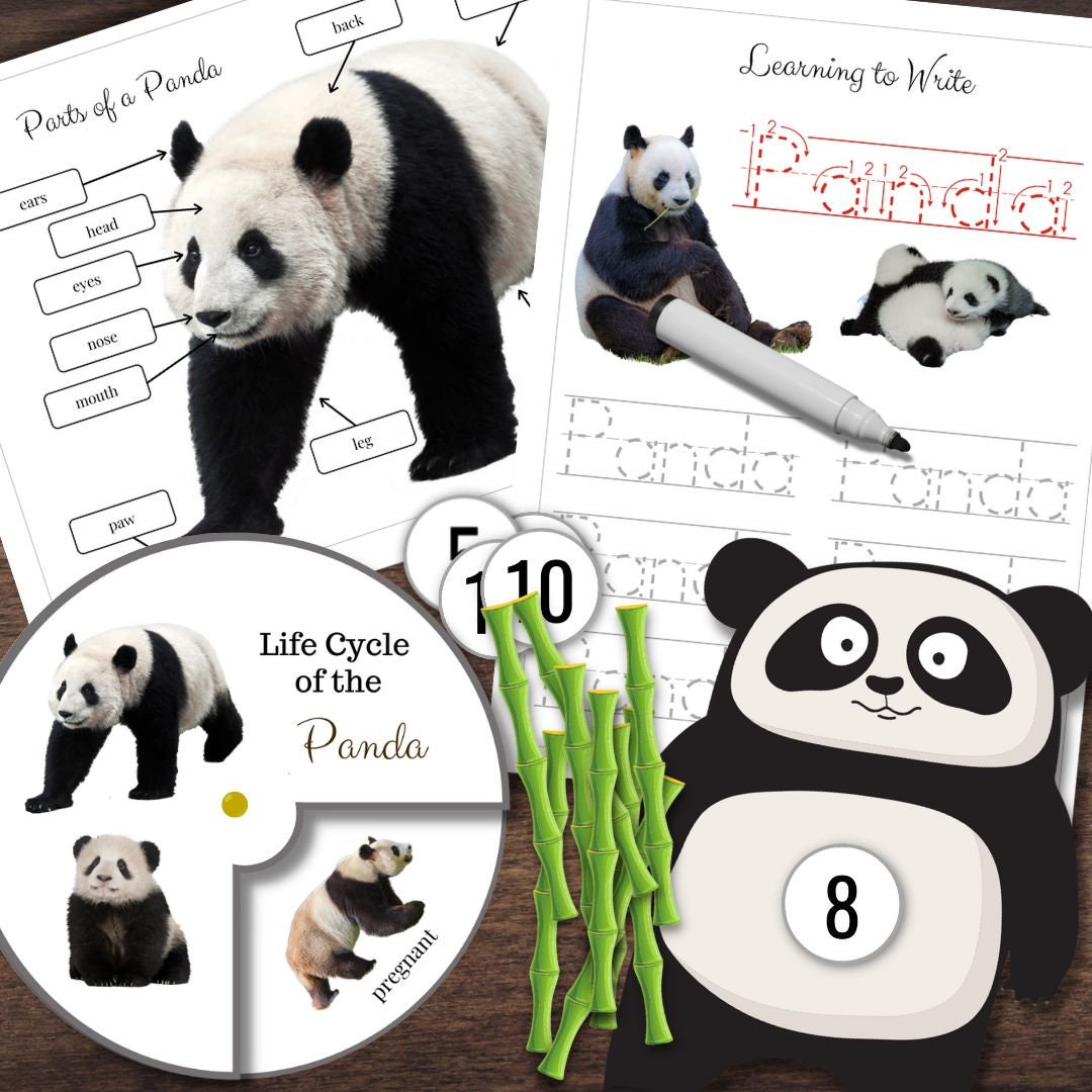 Montessori Inspired Panda Mini-study Life Cycle, Parts Of, Tracing ...