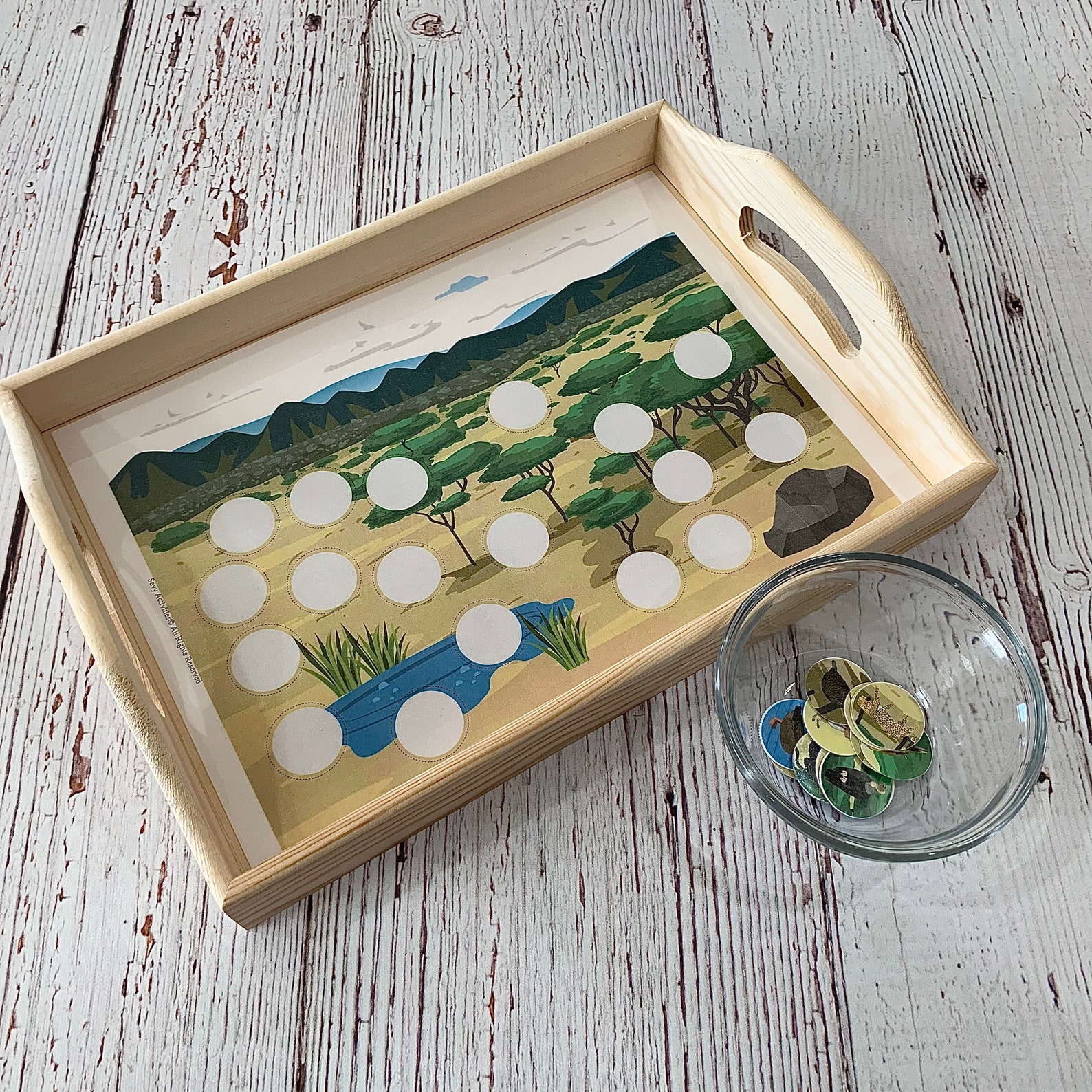 Montessori Inspired AFRICA Savannah Animals Mini Unit - Etsy