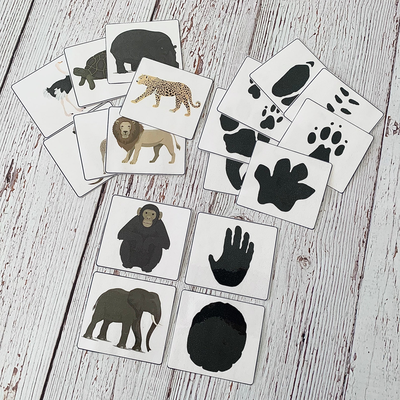 Montessori Inspired AFRICA Savannah Animals Mini Unit | Etsy