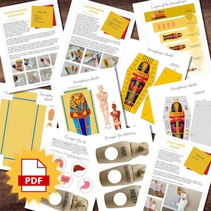 Ancient EGYPT 3D Sarcophagus Layers Craft Mummification Canopic Jars ...