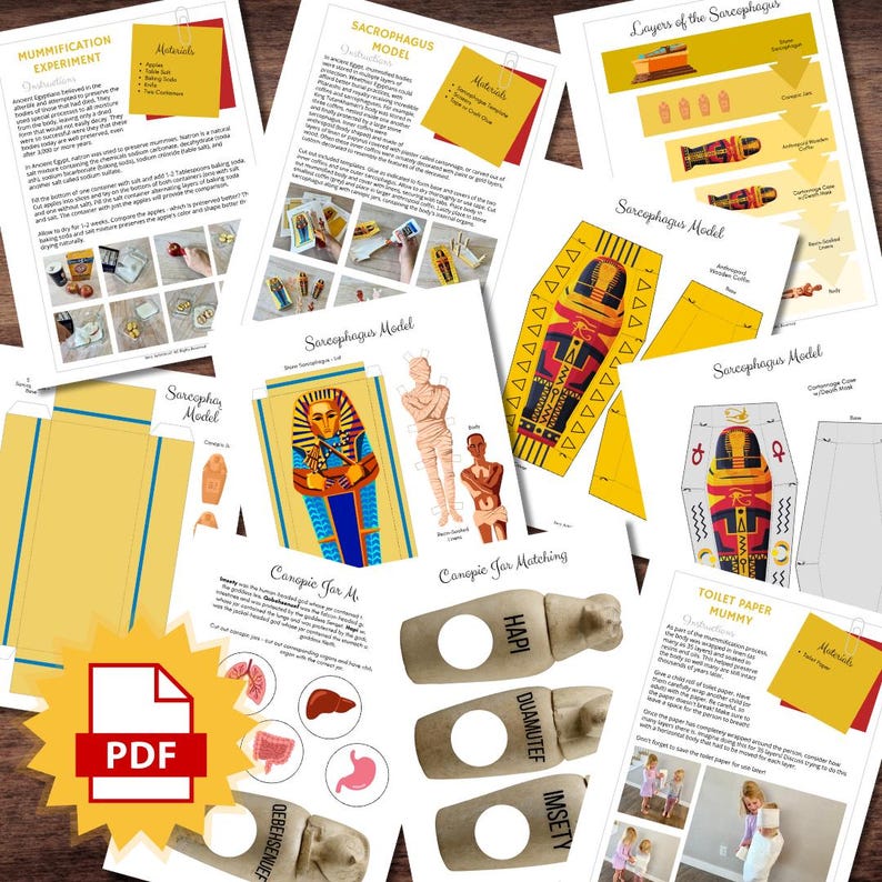 Ancient EGYPT 3D Sarcophagus Layers Craft Mummification Canopic Jars ...
