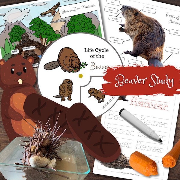 Beaver - Etsy