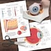HUMAN Anatomy EYE Model Anatomically Correct 2D Dissection Labeling ...