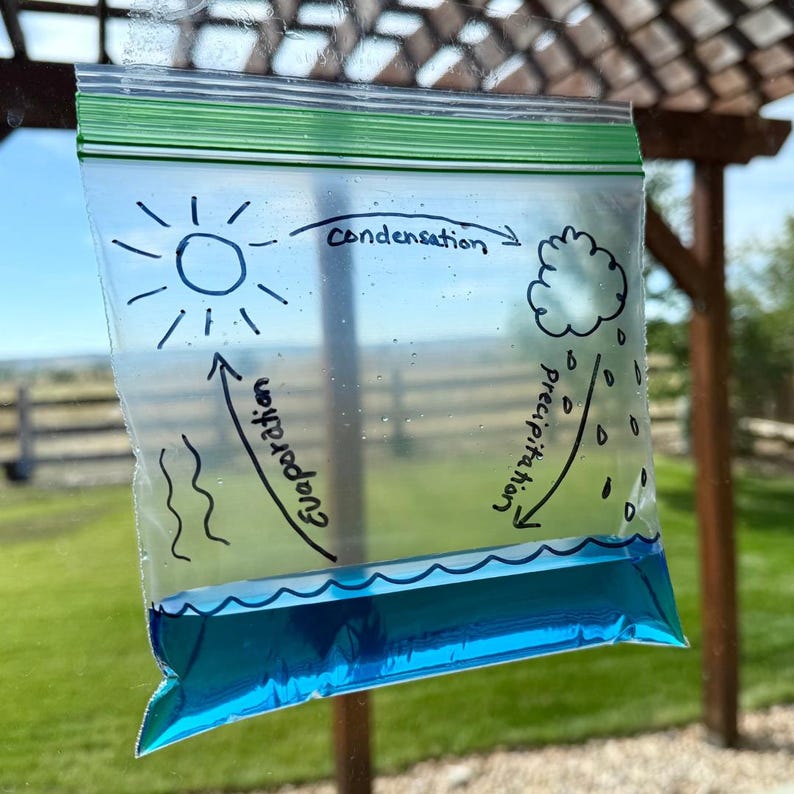 Hydrologic (water) Cycle Experiment, Flash Cards, Poster & Water Color ...