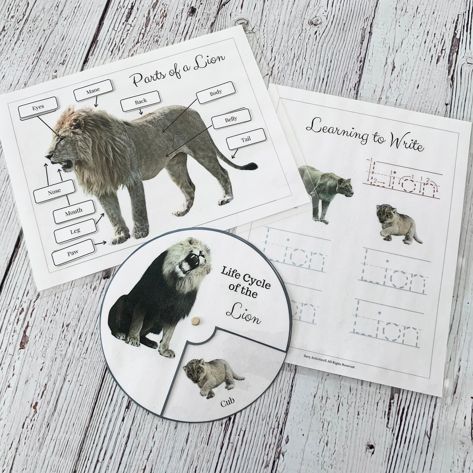 Montessori Inspired AFRICA Savannah Animals Mini Unit | Etsy