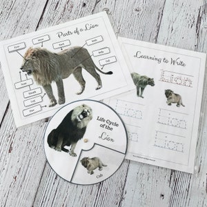 Montessori Inspired AFRICA Savannah Animals Mini Unit - Etsy