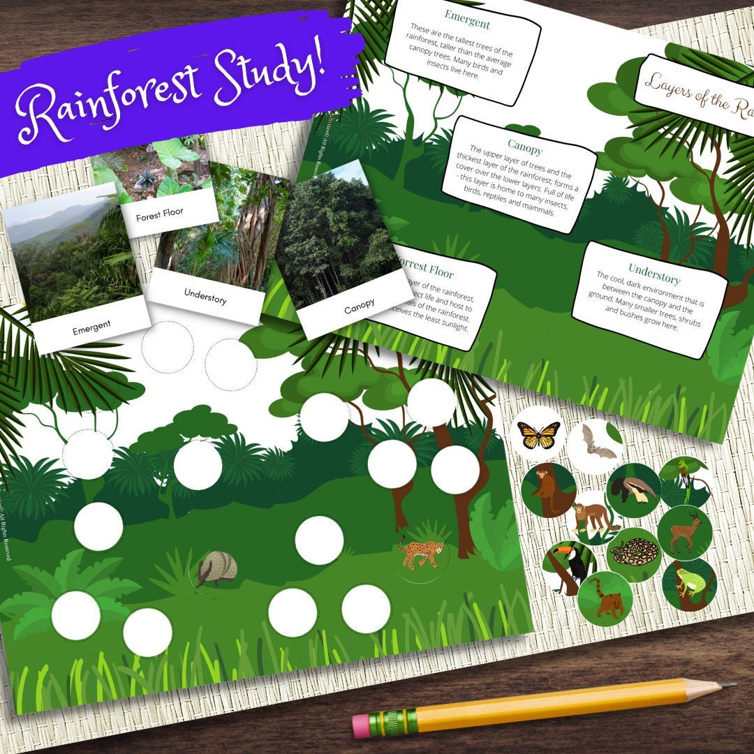 RAINFOREST Habitat Biome Study Montessori 3-part Cards & Matching ...