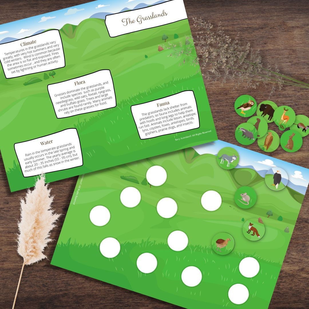 GRASSLANDS Habitat Match Printable Activity Biome Flora Fauna Poster - Etsy