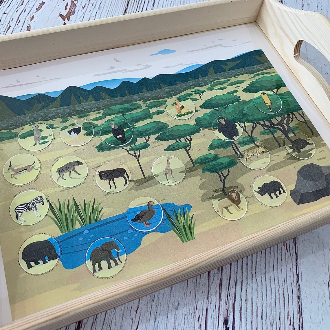 Montessori Inspired AFRICA Savannah Animals Mini Unit - Etsy