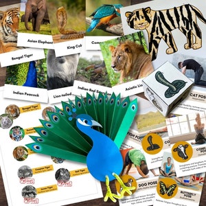 INDIA Cultural Country Asia Continent Study Educational Activity BUNDLE ...