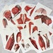 FULL SIZE (child) Cut-out Connectable Anatomy Muscular System W ...