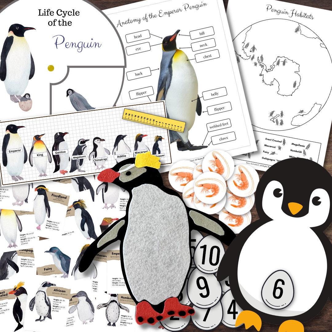 Antarctic PENGUIN Study Flashcards Habitat Measuring Felt Puzzle ...