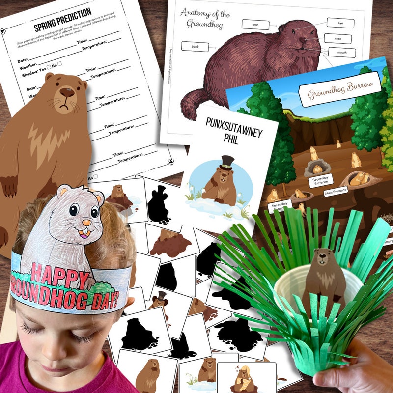 Punxsutawney Phil Hat - Etsy