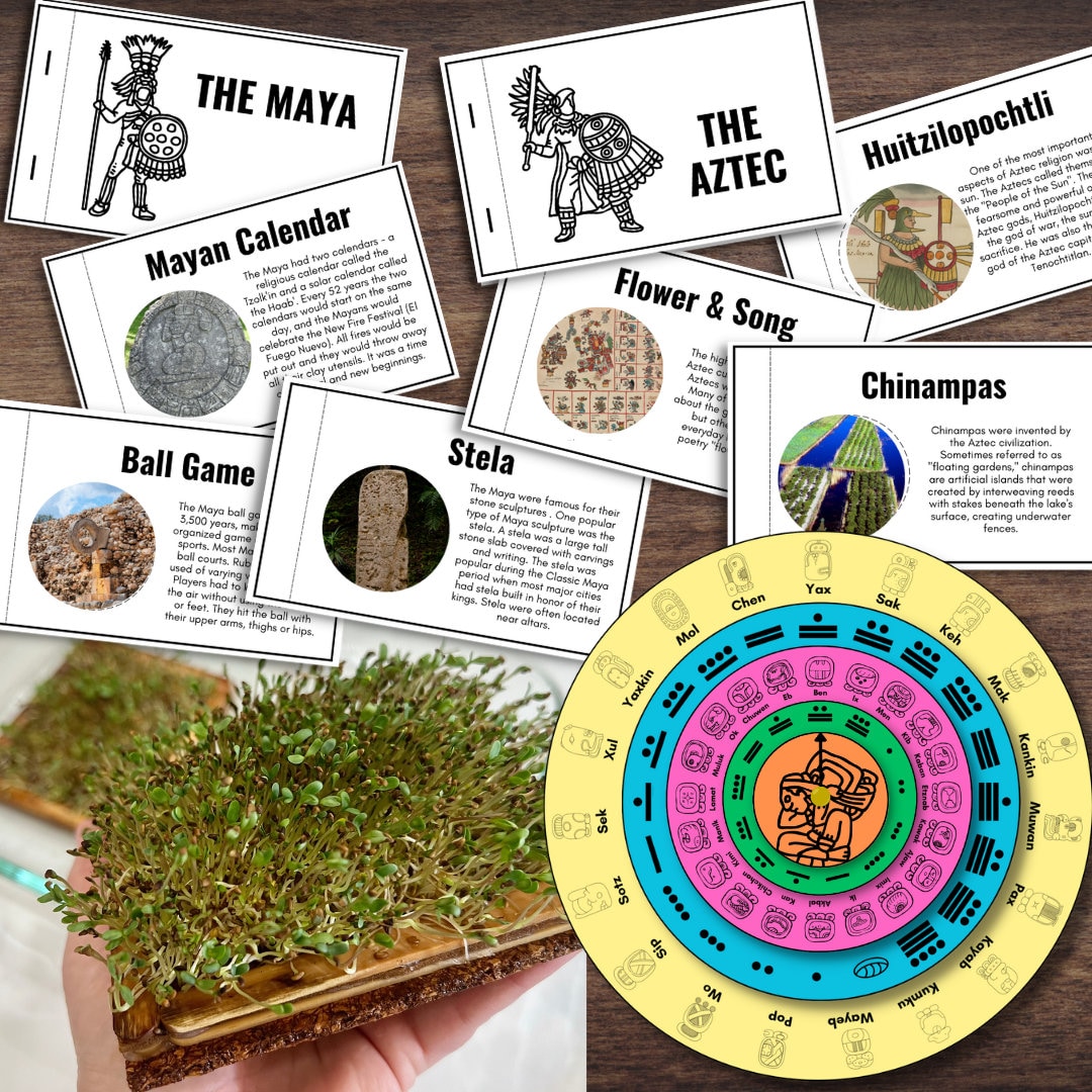 MAYA & AZTEC Civilizations Flipbook, Calendar, Chinampas Activity ...