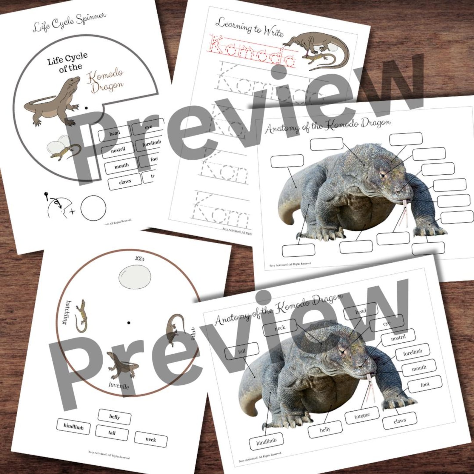 Montessori-inspired KOMODO DRAGON Life Cycle, Anatomy & Word Tracing ...
