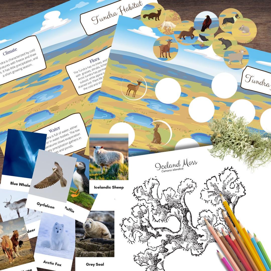 Arctic TUNDRA Habitat Biome Mini-study | Matching, Color Flash Cards ...
