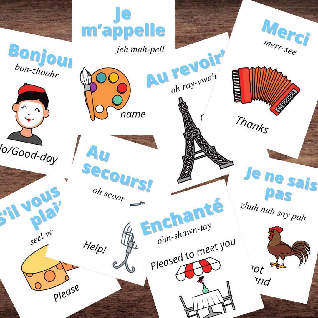 FRENCH France Language Phrase Flash Cards Illustrated W/pronunciations ...