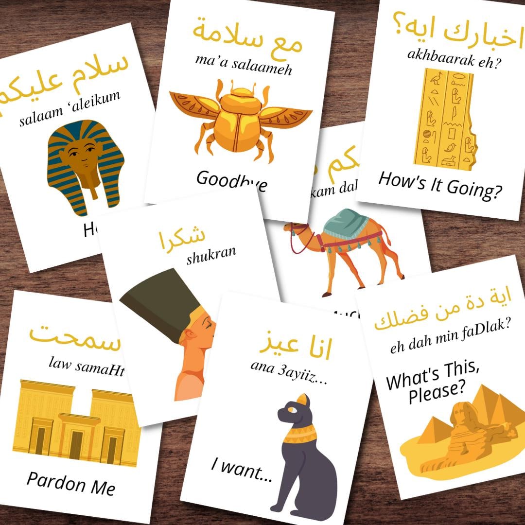 Egyptian EGYPT Arabic Language Phrase Flash Cards Illustrated W ...