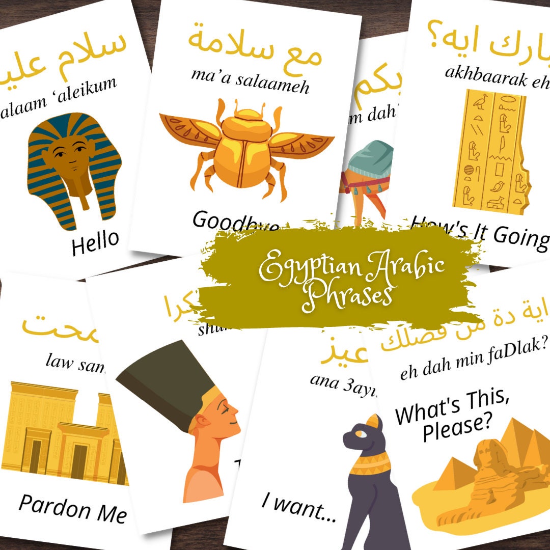 Egyptian EGYPT Arabic Language Phrase Flash Cards Illustrated W ...