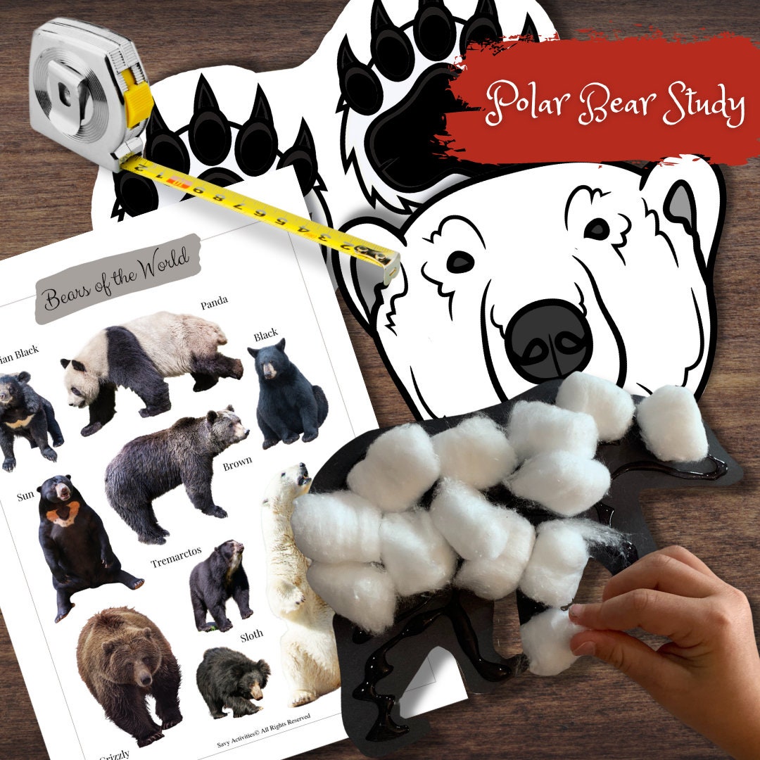 POLAR BEAR Measuring Activity Cotton-ball Craft & Bears of the World ...
