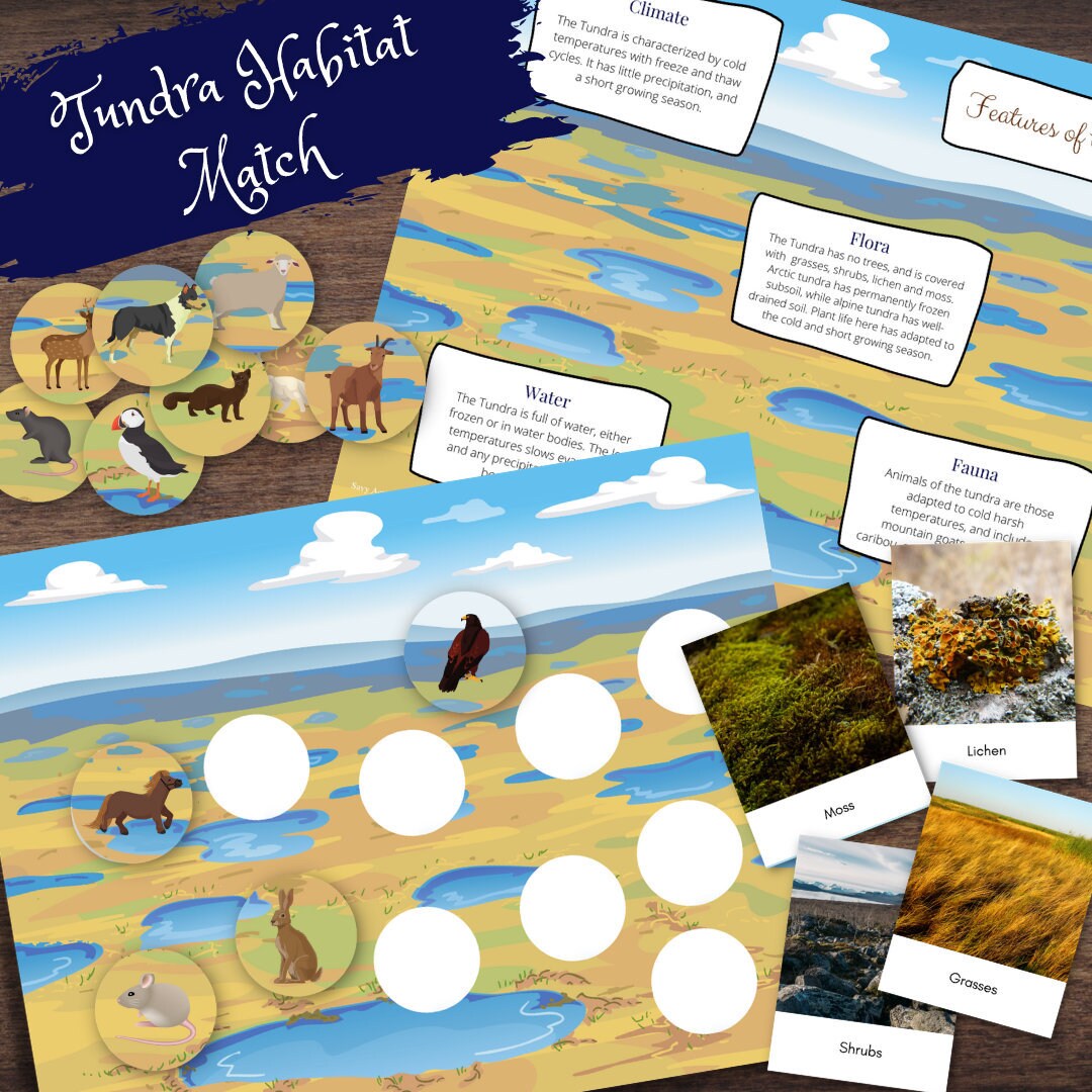 Tundra Habitat Biome Mini-study Matching, Full Color Cards, Animals ...