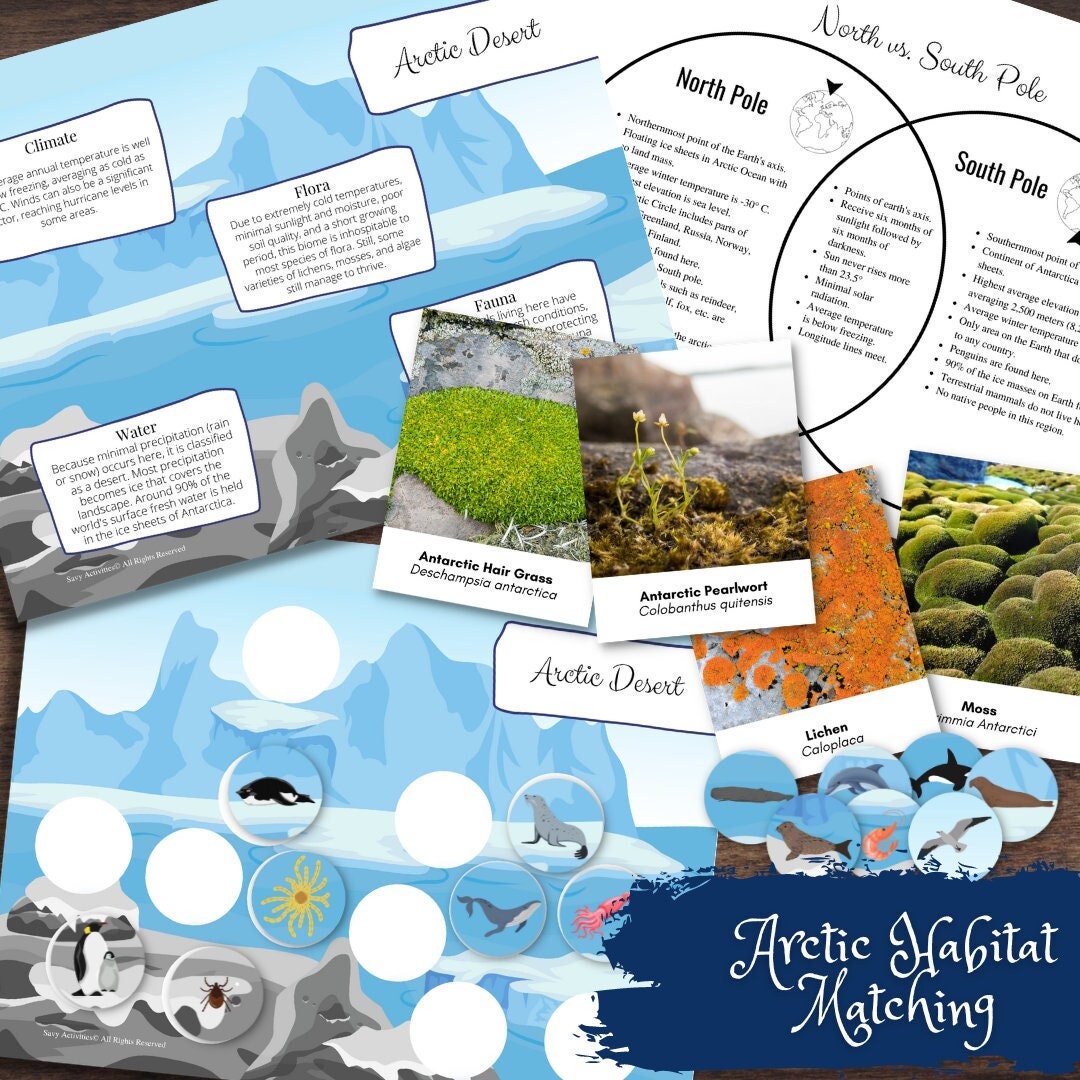 ARCTIC Desert Biome Habitat Matching Puzzle North Vs. South Pole Poster ...