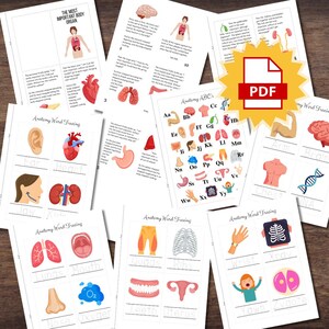 Human Anatomy Vocabulary Alphabet Abcs, Word Tracing & Body Mini-book ...