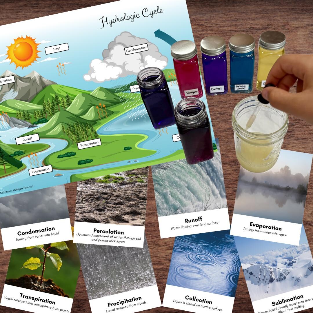 Hydrologic (water) Cycle Experiment, Flash Cards, Poster & Water Color ...