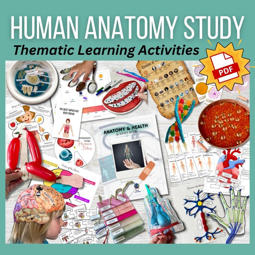 Human Anatomy Health Activity Ebook: Hands-on Activities, Experiments ...