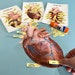 Anatomy HUMAN HEART - Full Color Anatomically Correct 2D Dissection ...