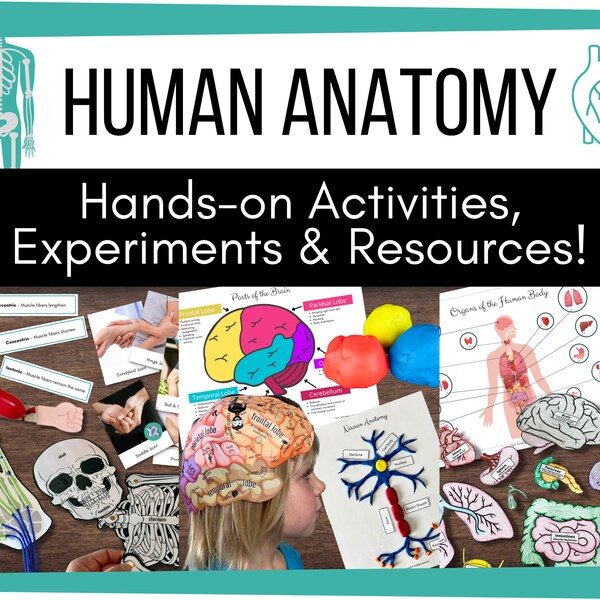 Human Body Homeschool - Etsy