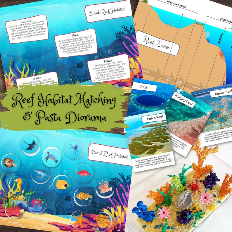 CORAL REEF Habitat Biome Study Matching Puzzle 3-part Cards - Etsy