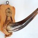 Vintage Handmade Natural Ox Horn Ornament Decoration Wooden Shield Wall ...