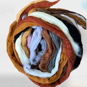 Animal Colors Merino Wool Roving Fiber: Felting & Spinning Mix, Browns ...