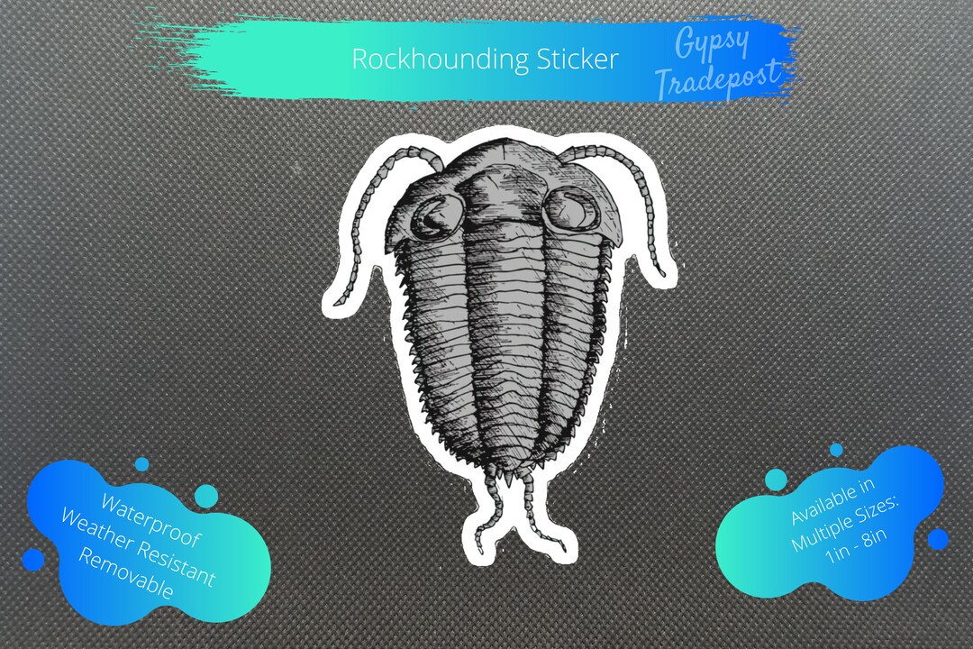 Rockhounding Stickers: Trilobite | Water Bottle Sticker | Waterproof ...