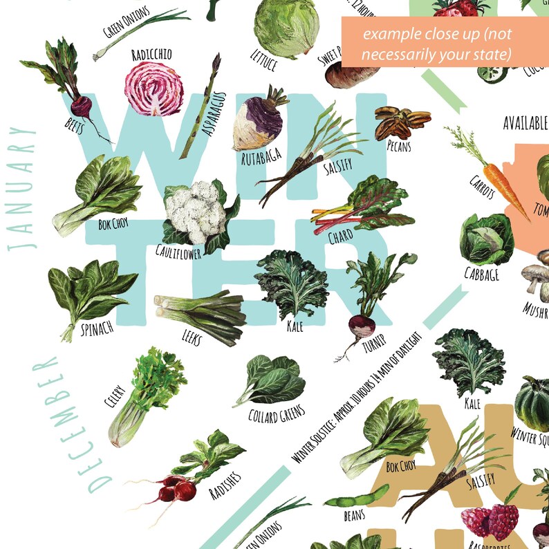 COLORADO *INSTANT DOWNLOAD* Digital File of Seasonal Produce Chart - Etsy