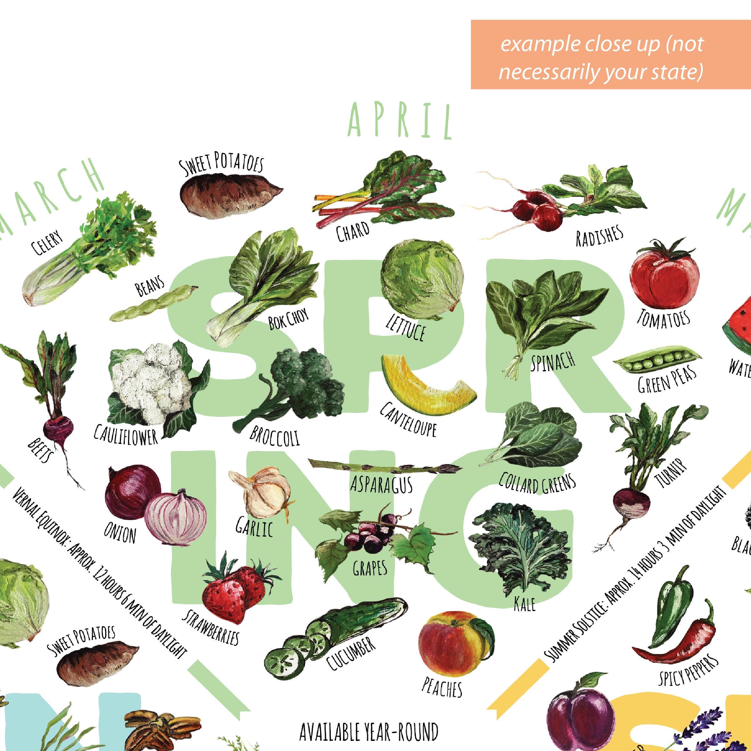 DIGITAL Tennessee Seasonal Produce Chart *INSTANT DOWNLOAD* - Etsy