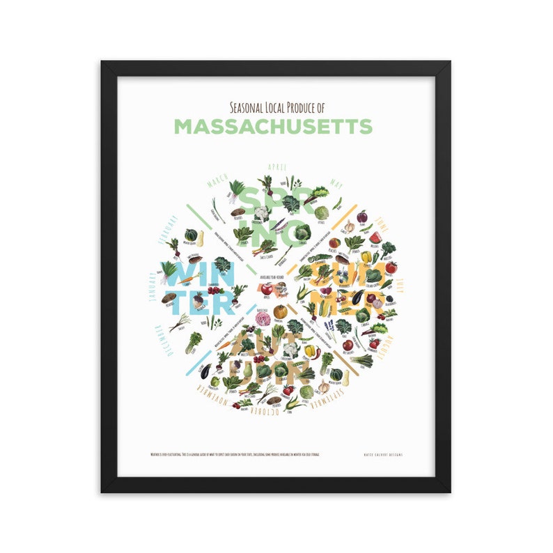 MASSACHUSETTS in Season Produce Chart - Etsy