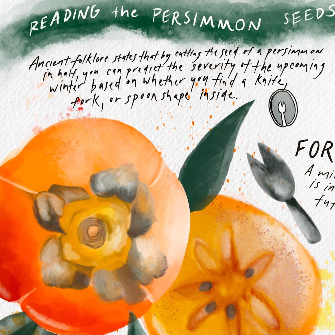 Reading the Persimmon Seeds - Framed Art or Print Only - Etsy