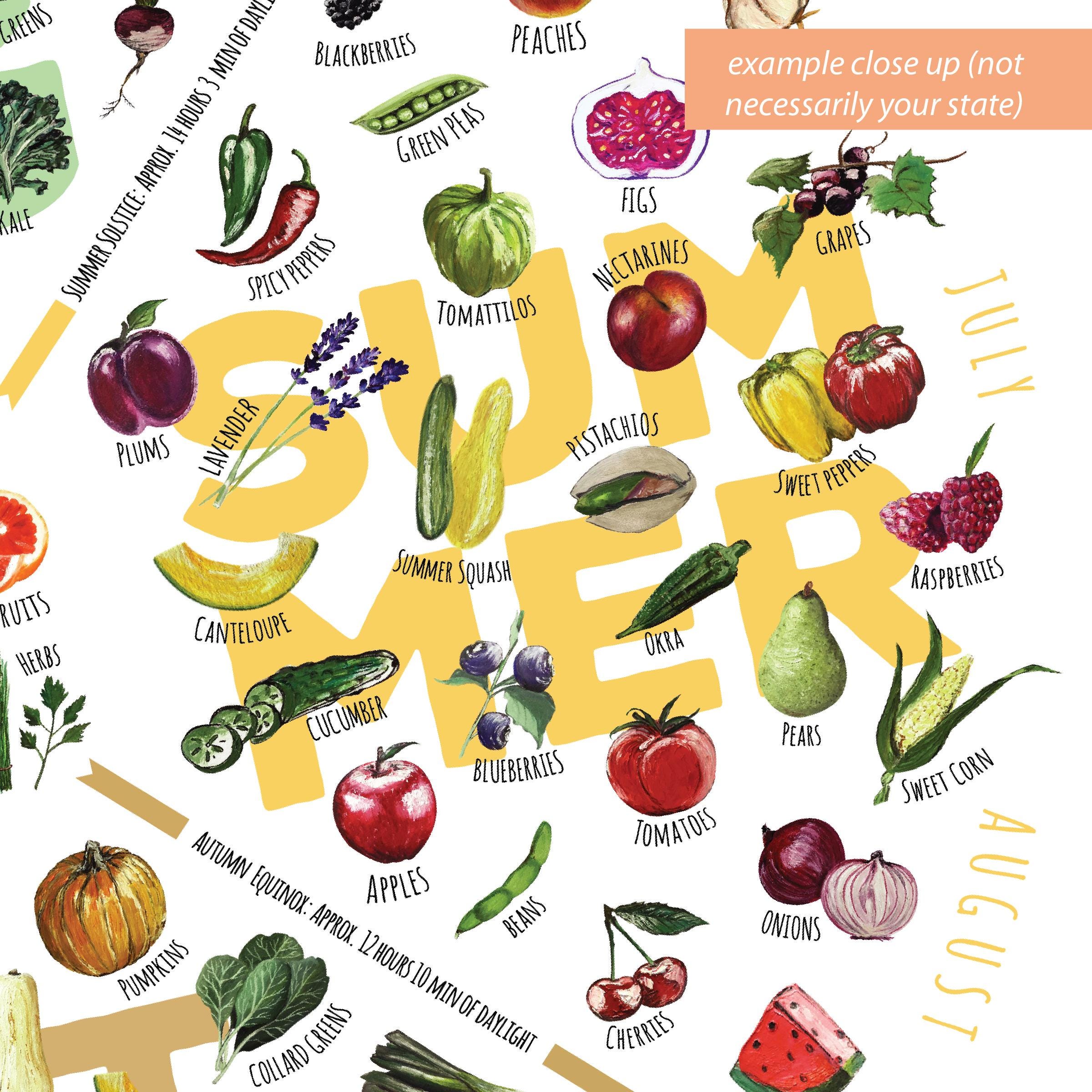 DIGITAL Tennessee Seasonal Produce Chart *INSTANT DOWNLOAD* - Etsy