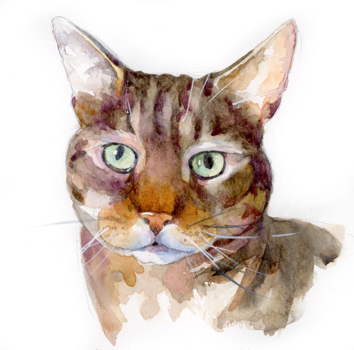 Custom Cat Portraits in Watercolor - Etsy