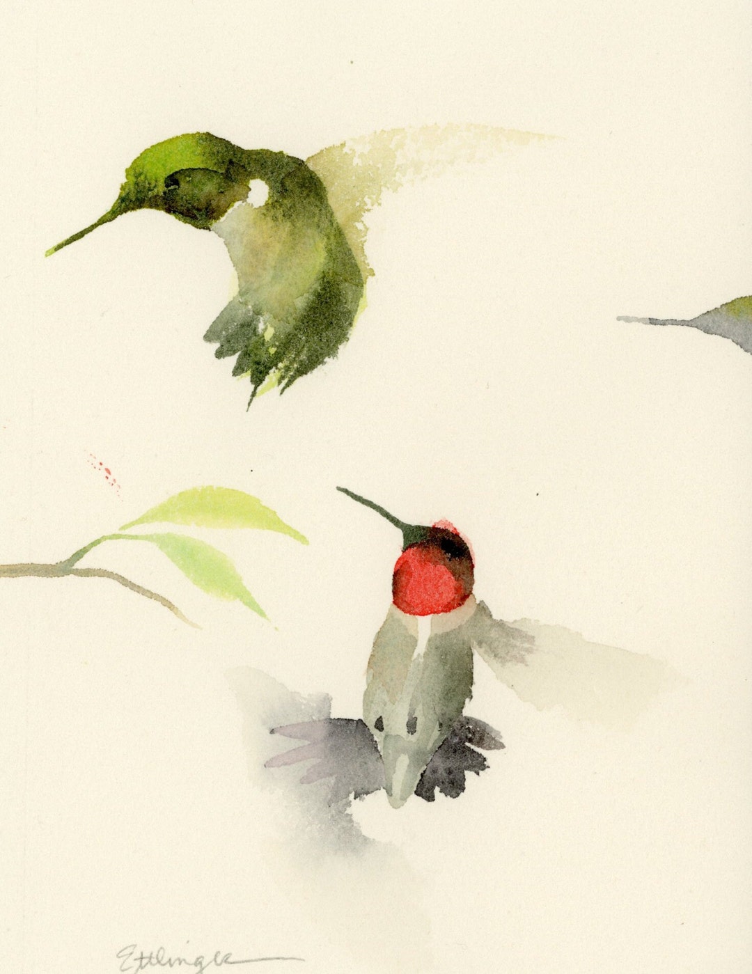 Green and Red Hummingbirds Flying - Original Watercolor From the Tiny ...