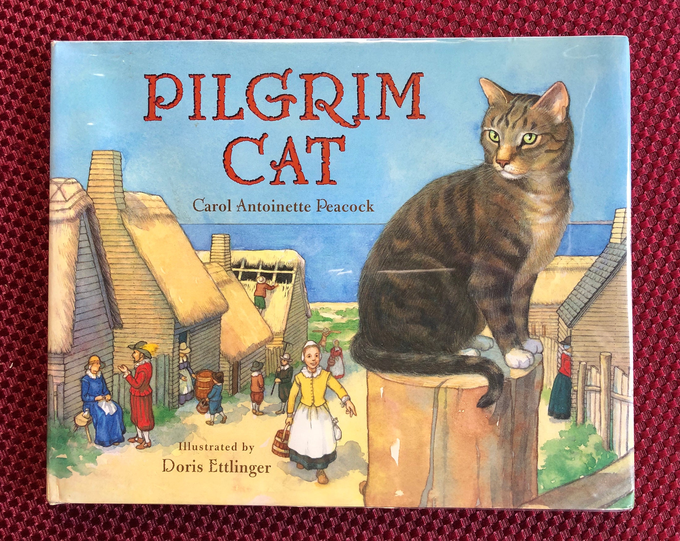 Pilgrim Cat Book