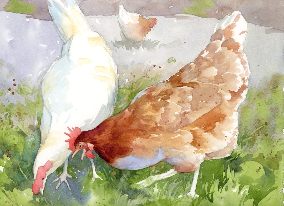 Three Hens in Watercolor - Orli & Till - Etsy