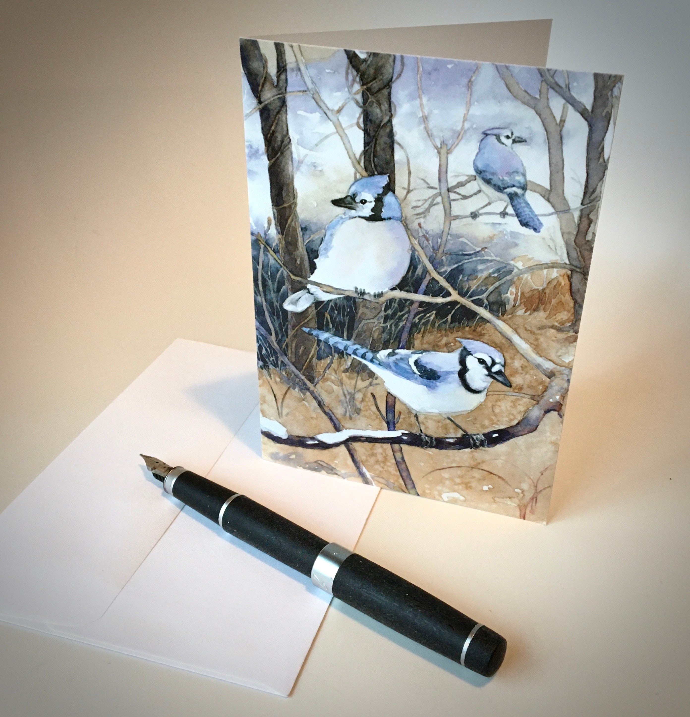 The Bird Collection Gift Box of Assorted Notecards - Etsy