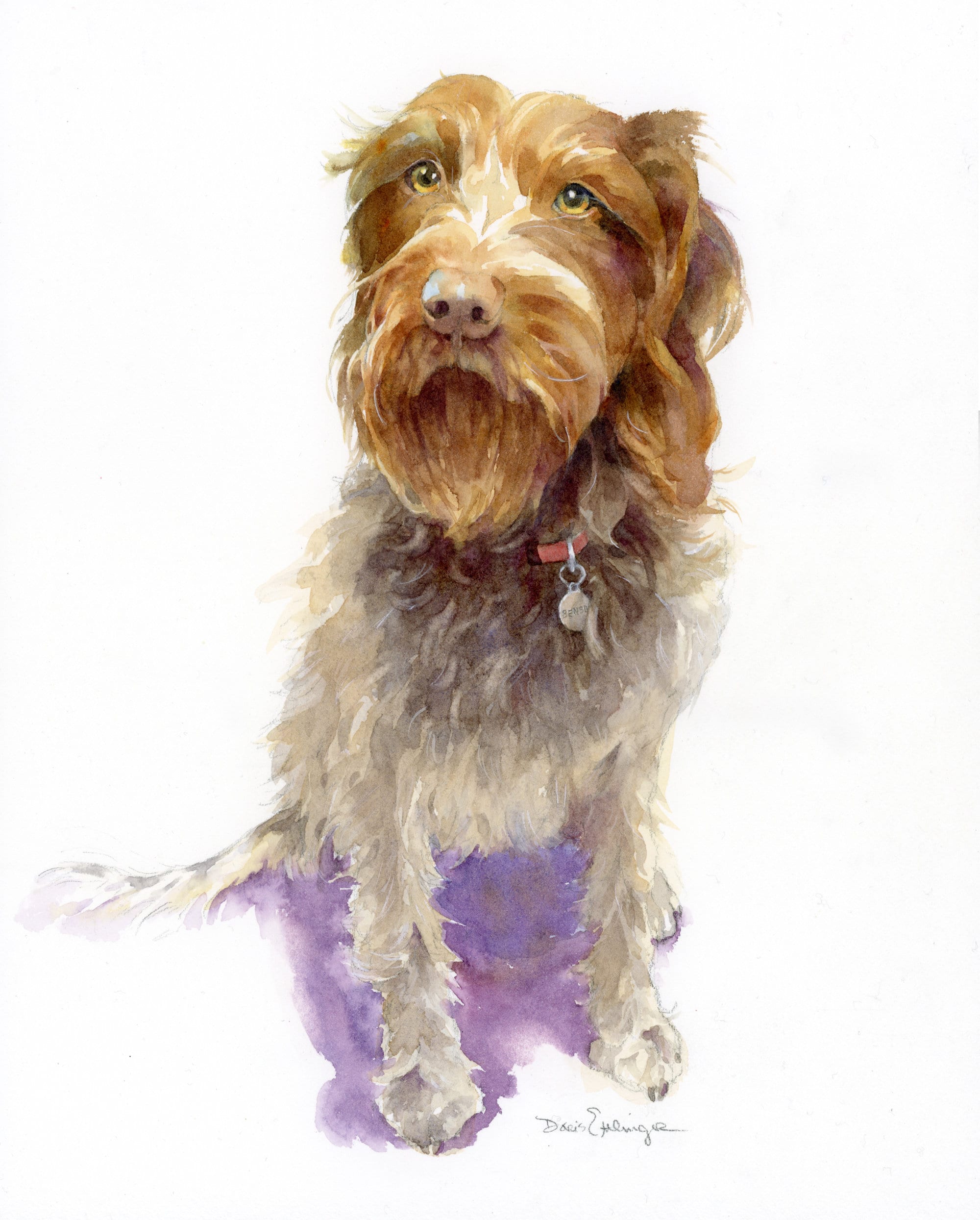 Custom Dog Portraits - Etsy