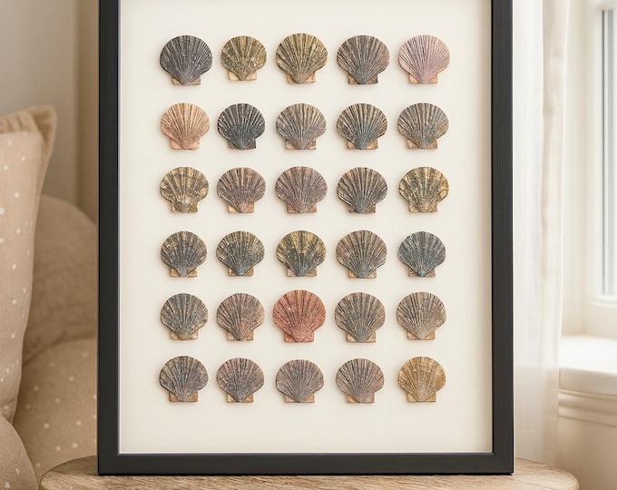 Framed Scallop Shell Art: Coastal Shadow Box - Beach House Decor - Etsy