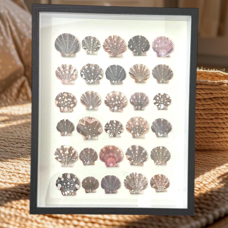 Shell Shadow Box - Etsy