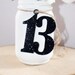 13th Birthday Decorations / Number 13 Mason Jar Centerpiece / 13 Decor ...