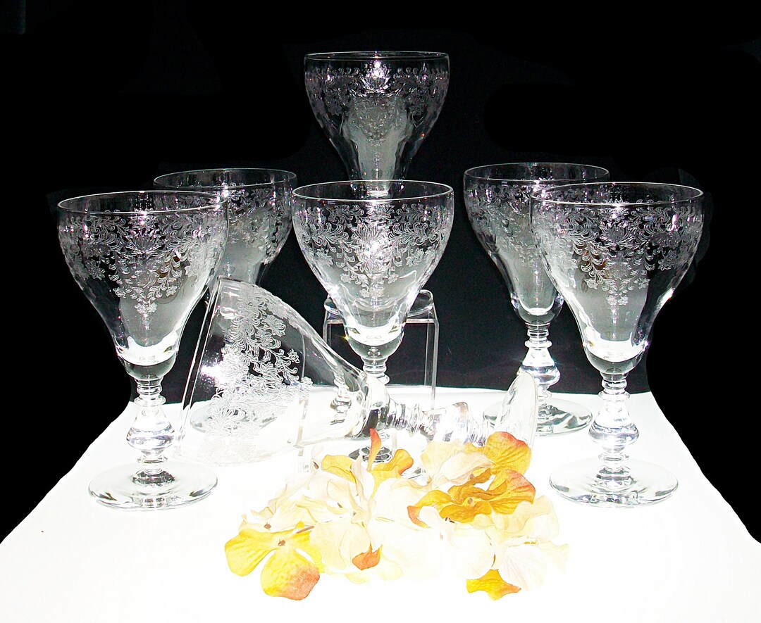 Set of 6 Bryce Fern Leaf Etched Water Goblets - Etsy